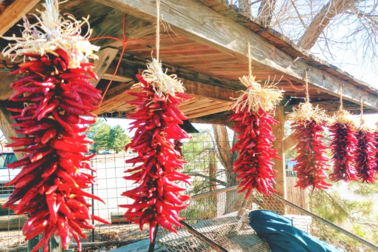 New Mexico state vegetable Archives - Live Simple Now