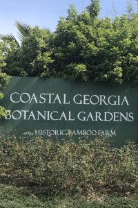 A Visit To Savannah's Coastal Georgia Botanical Gardens